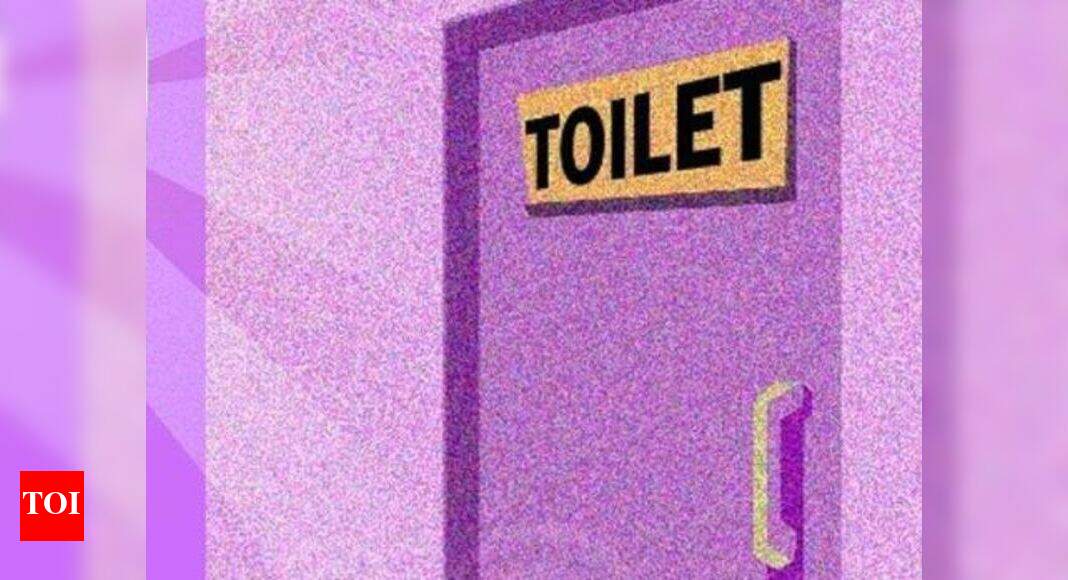 Drive to promote use of twin pit toilets in rural areas | Pune News ...