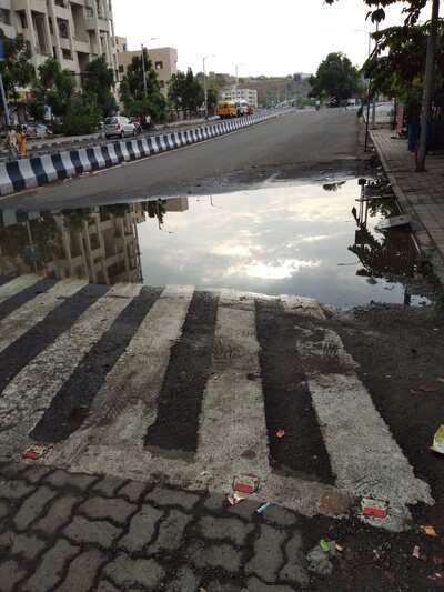 water near zebra crossing - Times of India