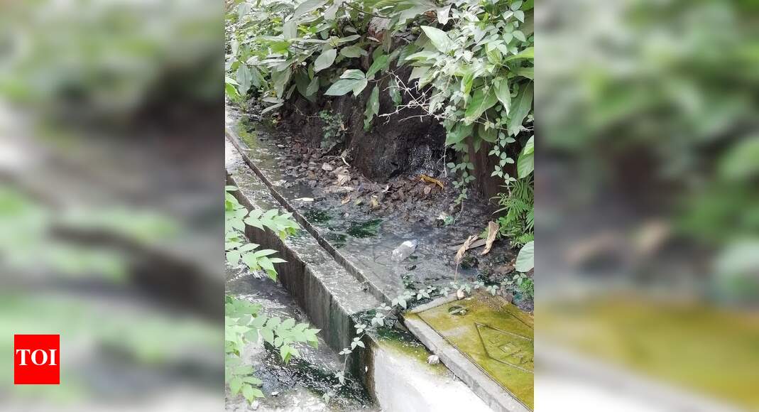 Drainage pipeline bust - sewage water overflowing. - Times of India