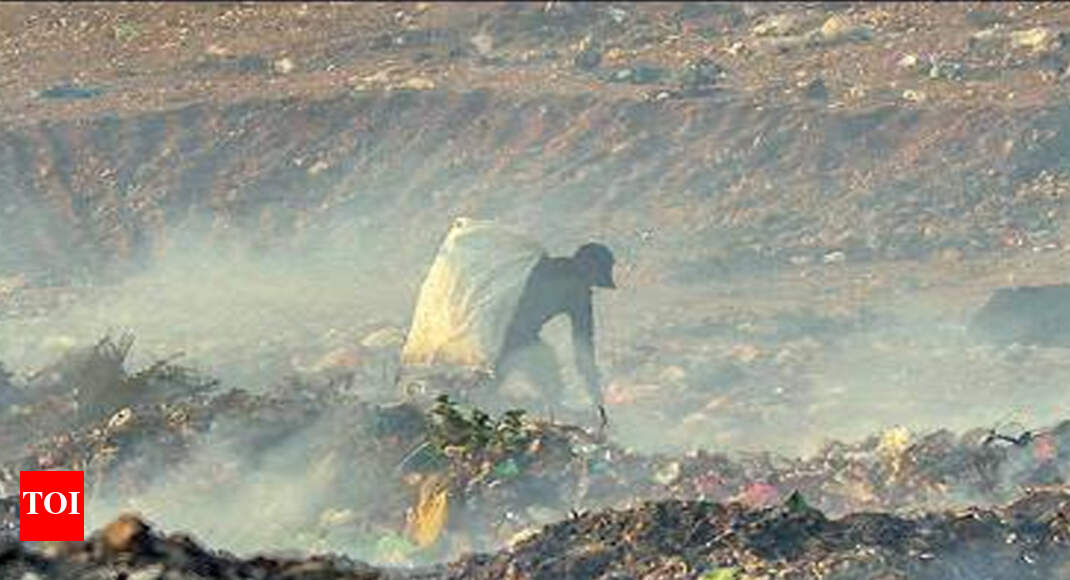 ban on polythene bags: Government ban on polythene bags exists only on ...