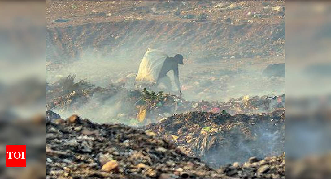 Ban On Polythene Bags: Government ban on polythene bags exists only on ...