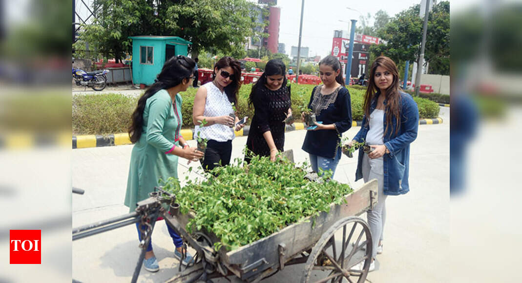 Noidawallahs plant saplings to mark World Environment Day | Noida News ...