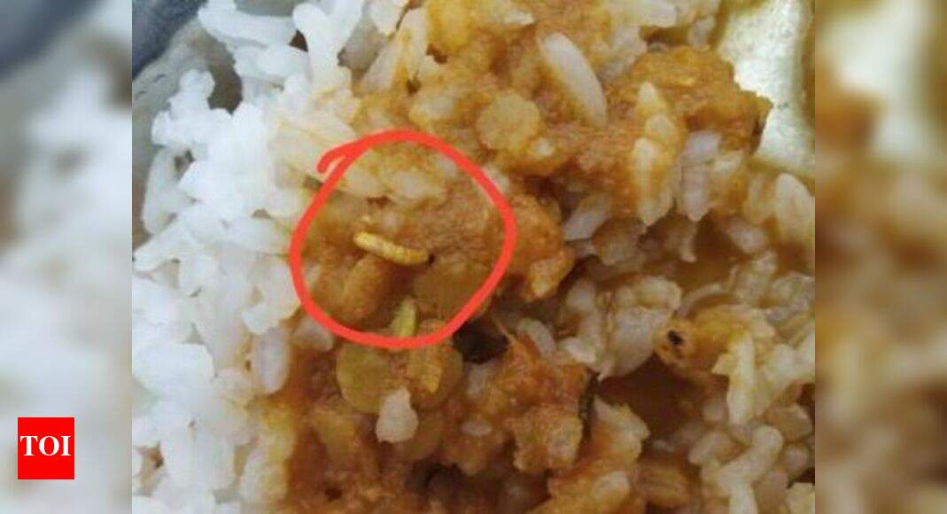Indira Canteen: Karnataka: Worm found in Indira Canteen food ...