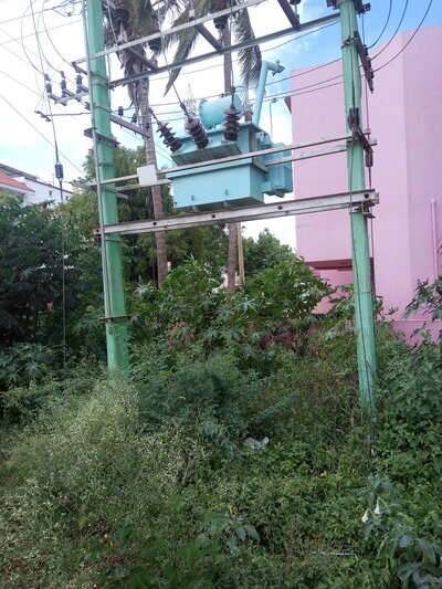 BUSHES AROUND EB TRANSFORMER - Times of India
