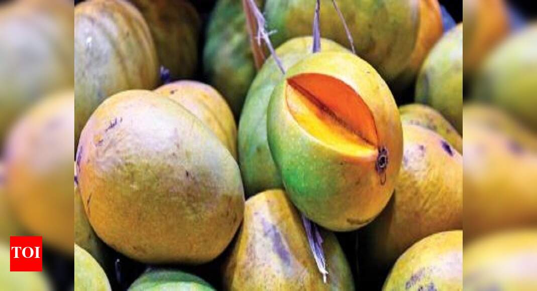 Fruit sales up as Nipah scare fades | Kochi News - Times of India Fruit sales up as Nipah scare fades | Kochi News - Times of India