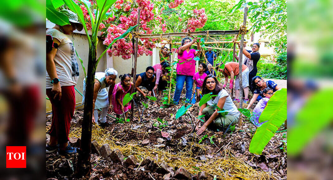 Bandra Residents: Bandra residents reclaim a garden | Mumbai News ...