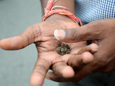 Bihar wants ‘khaini’ covered under food safety Act | Patna News - Times ...