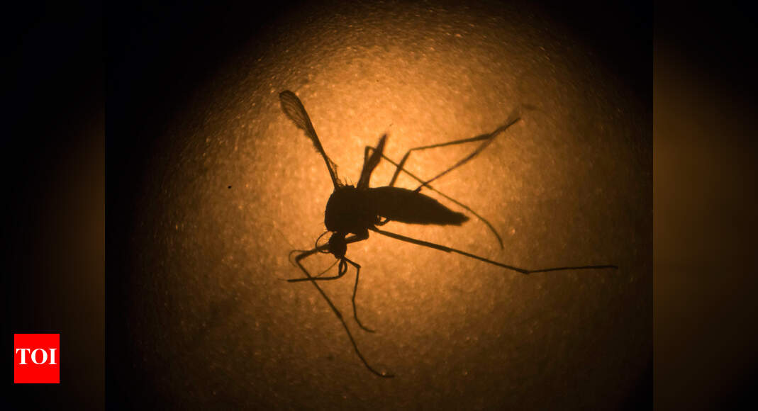 Monsoon knocks, so do deadly infections | Hyderabad News - Times of India