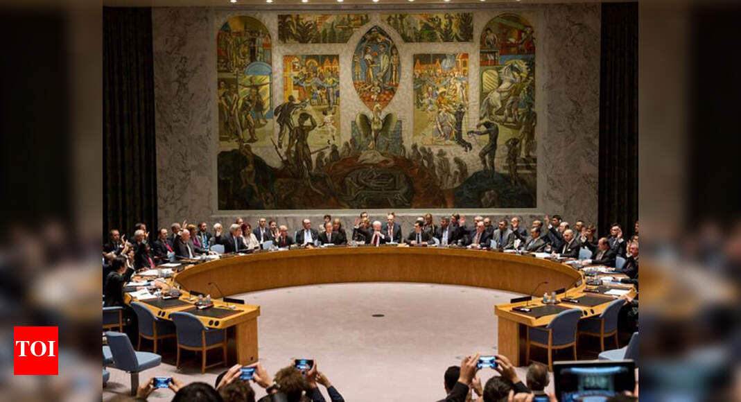 UN Security Council elects Germany, Indonesia, South Africa and 2 ...