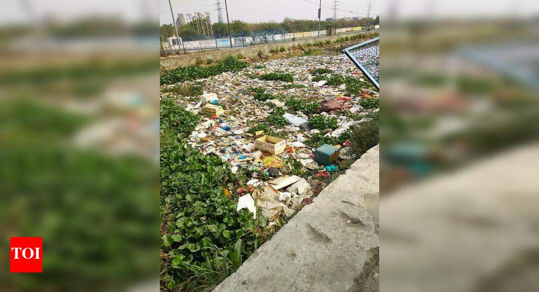 Garbage chokes east Delhi canal - Times of India
