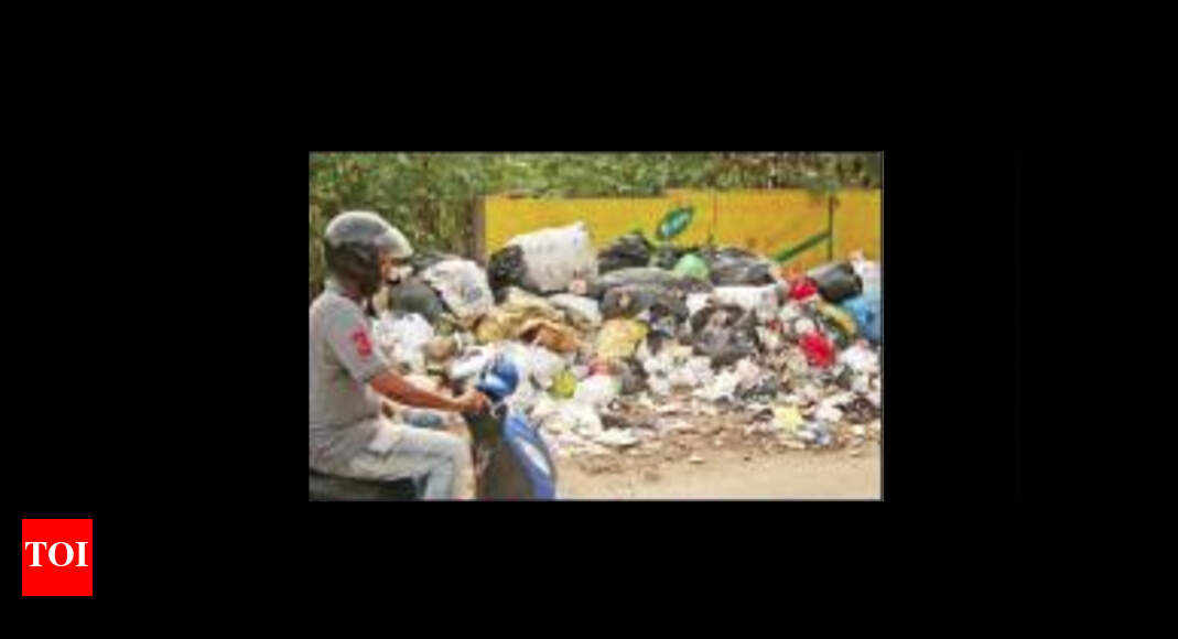 Mulavukad gears up for a green village transformation | Kochi News ...