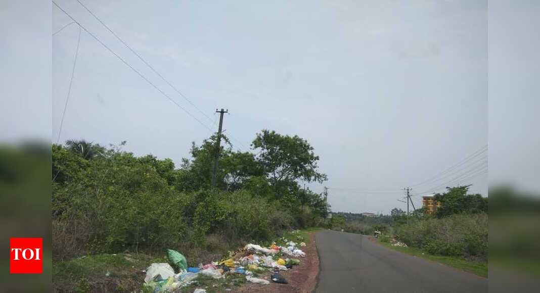 Roadside dumping of garbage - Times of India