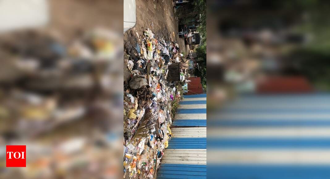 garbage road - Times of India