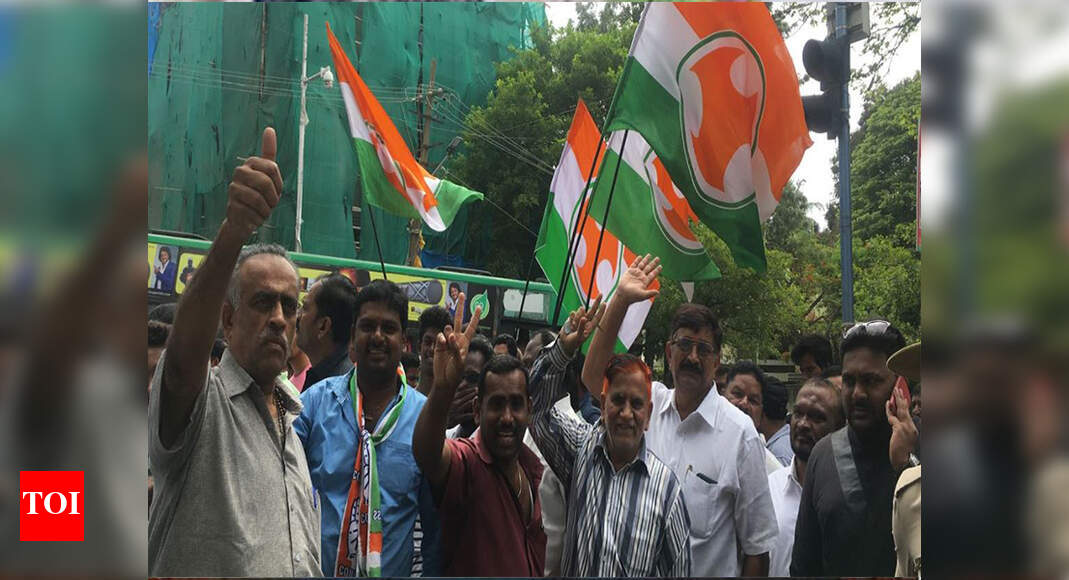 Jayanagar Election results 2018: Congress candidate Sowmya Reddy wins ...