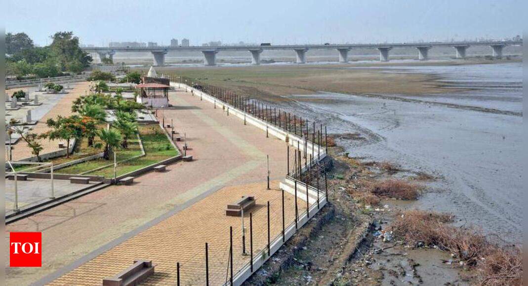 Aai: Airports Authority of India water aerodrome project at Tapi ...