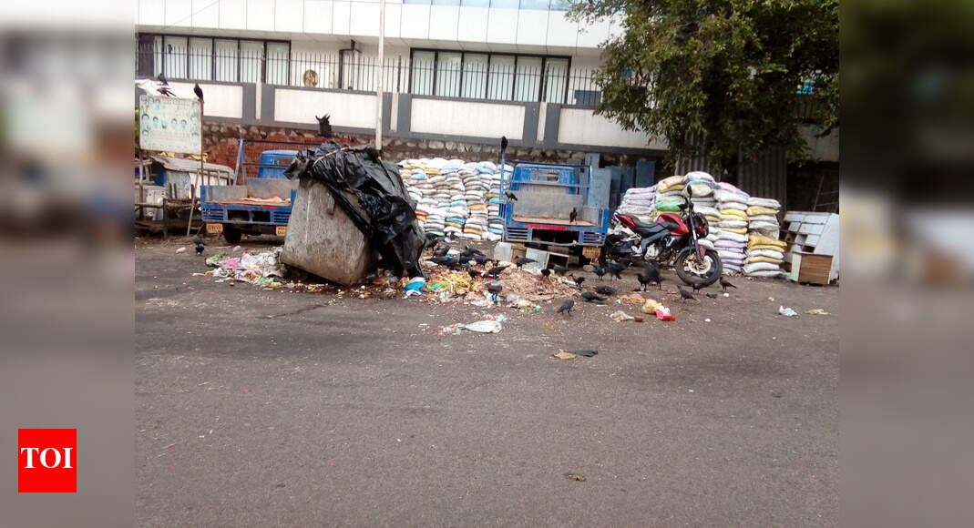 unmanaged garbage around exam centre - Times of India
