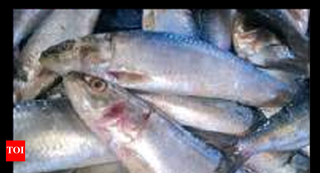 fish preserved in formalin: 6,000kg fish preserved in formalin returned ...