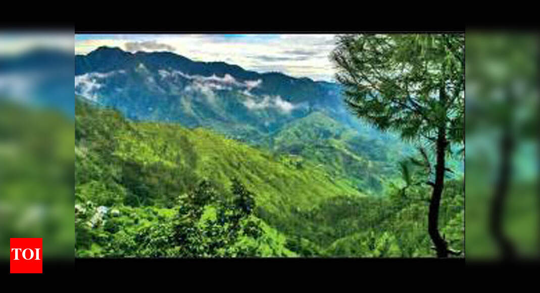 Forest department begins proceedings against misuse of forest land ...