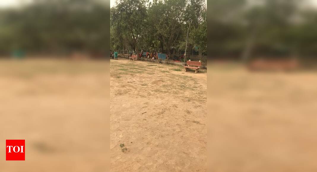 Slum inside park - Times of India