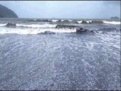 Water off Karwar’s coast turns black | Hubballi News - Times of India