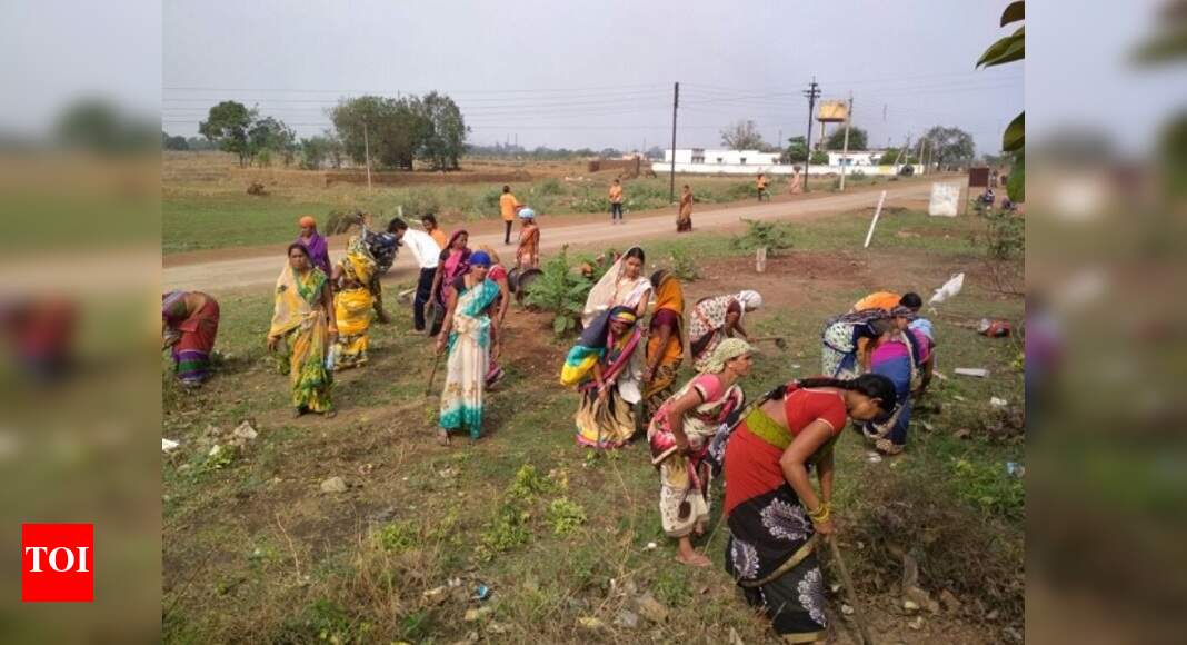 Tree plantation at Naya Raipur | Events Movie News - Times of India