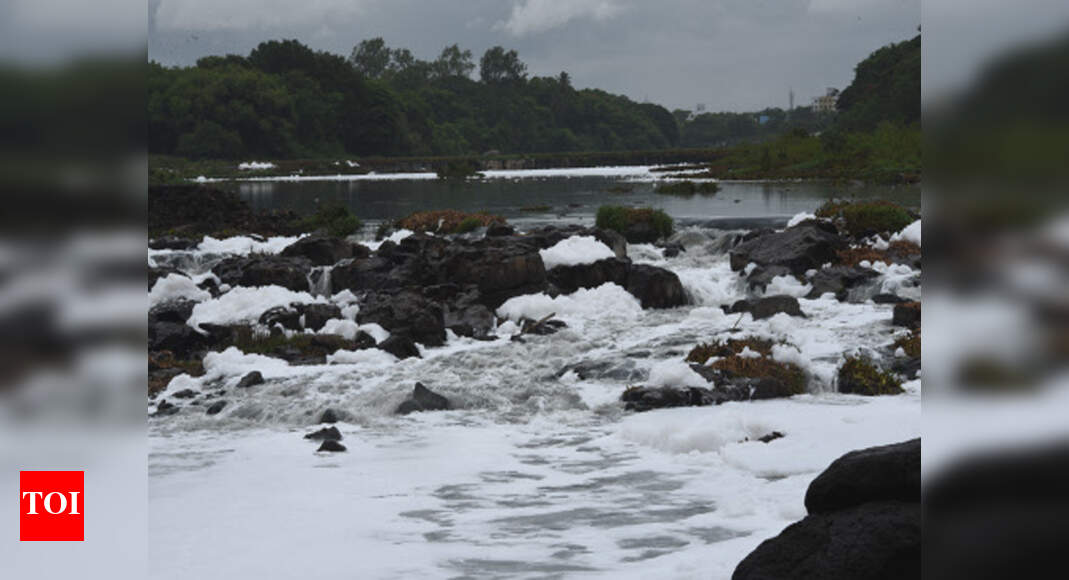 Mula River: Pune: Polluted Mula water a cause for concern | Pune News ...