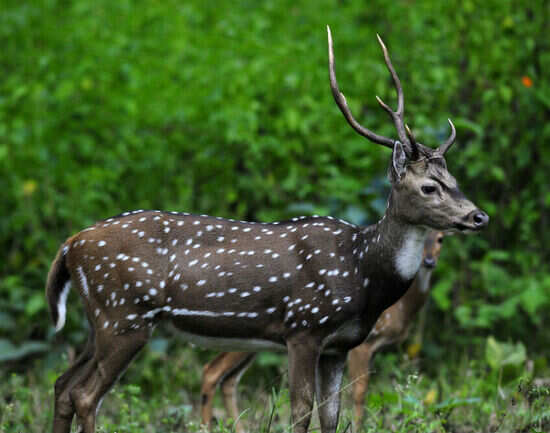 Fascinating weekend escapes from Ooty | TimesTravel