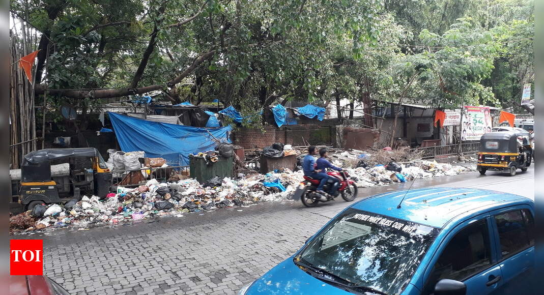 Garbage not collected for more than three days - Times of India