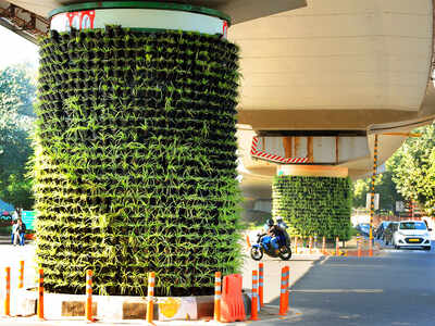 Soon, vertical gardens to be developed on flyover pillars | Patna News ...