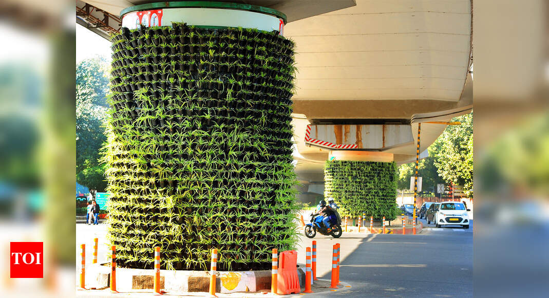 Soon, vertical gardens to be developed on flyover pillars | Patna News ...