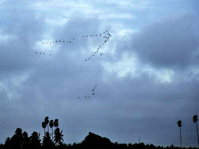 Monsoon may revive in 48 hours after weakening of Meiyu Front | Pune ...