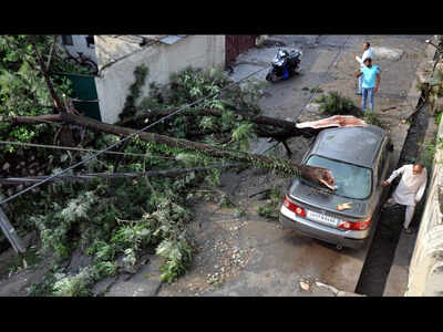 Rain, thunder uproot trees, utility poles in Dehradun | Dehradun News - Times of India