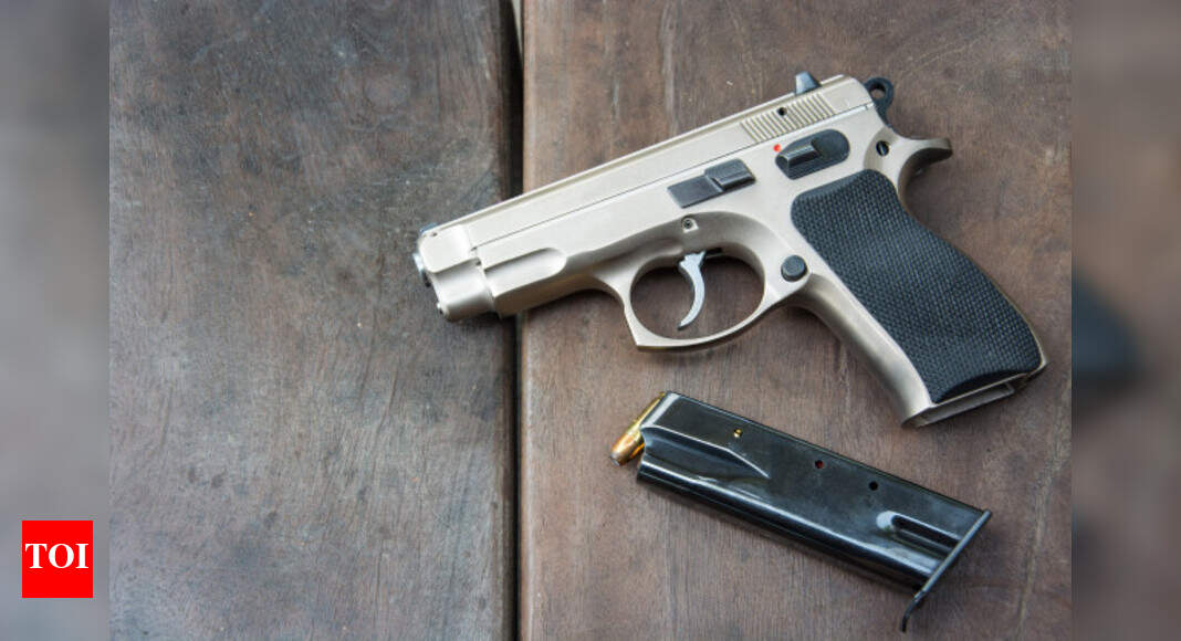 More guns in the hands of civilians than security agencies - Times of India