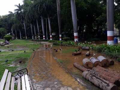 Patwardhan Park, Bandra - Times of India