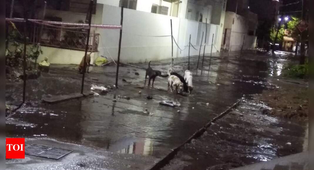 overflowing nala - Times of India