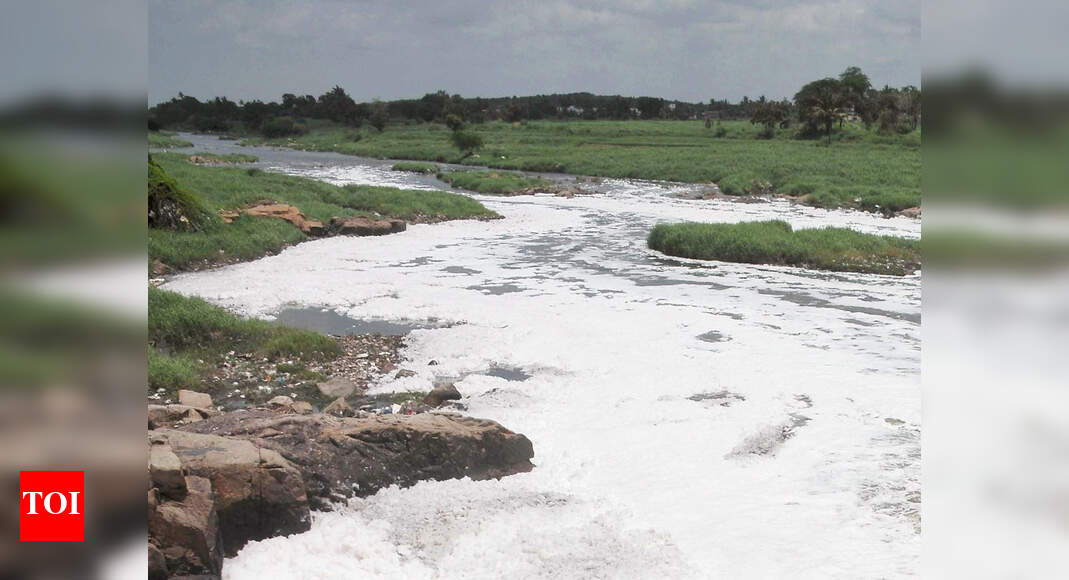 Musi River: Polluted Musi water used for irrigation affecting aquifers ...