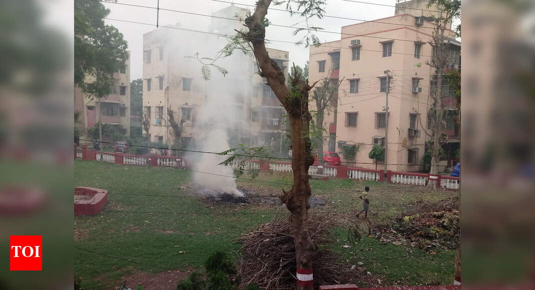 Hacking tree and burning, Uttarpara - Times of India