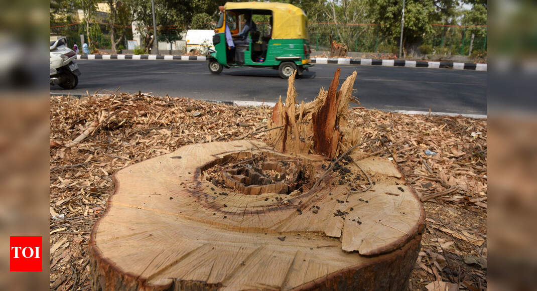Delhi government or Centre - Who gave the order to cut trees in Delhi ...