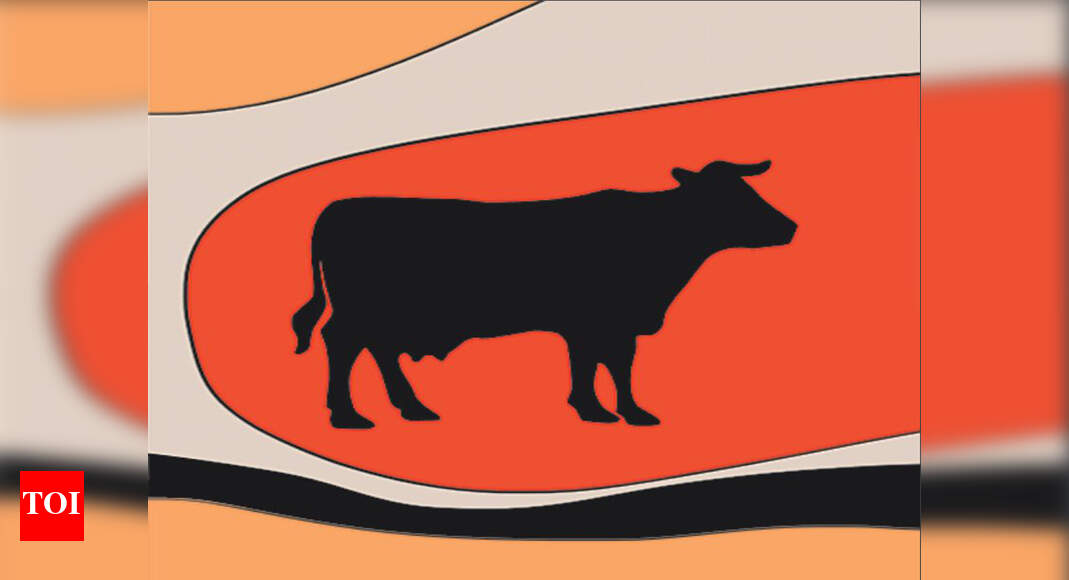 Beef Shortage: Beef shortage in Goa: Traders cite cow vigilantism | Goa ...