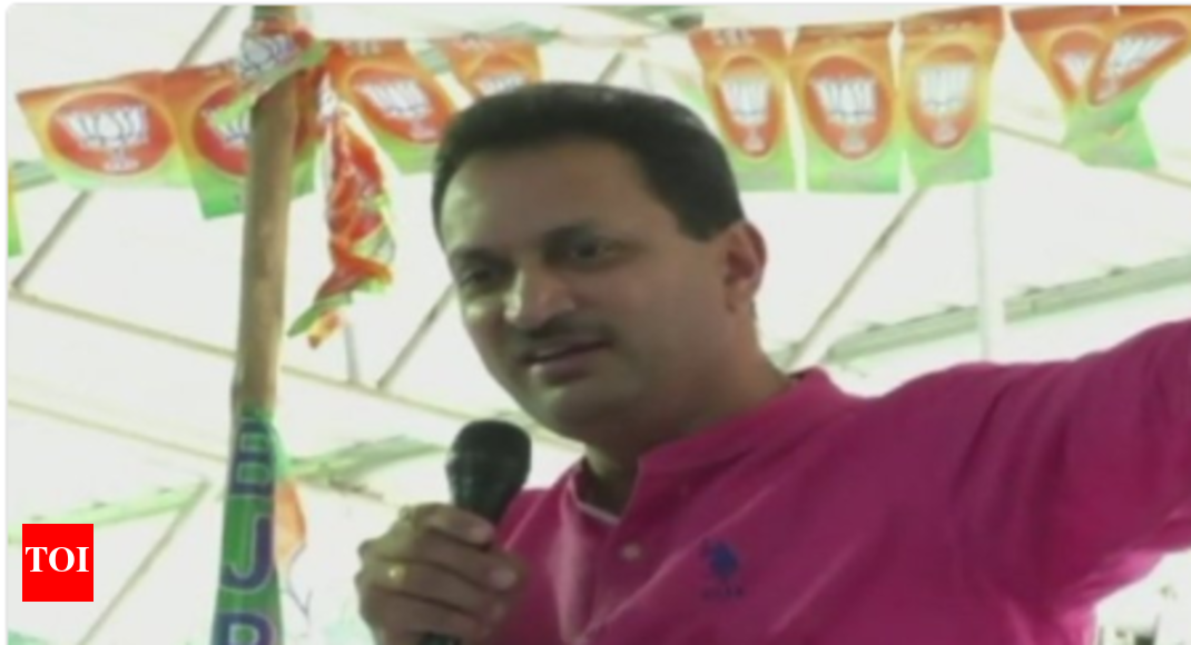 Now, Ananth Kumar Hegde calls opposition 'crows, monkeys, foxes ...
