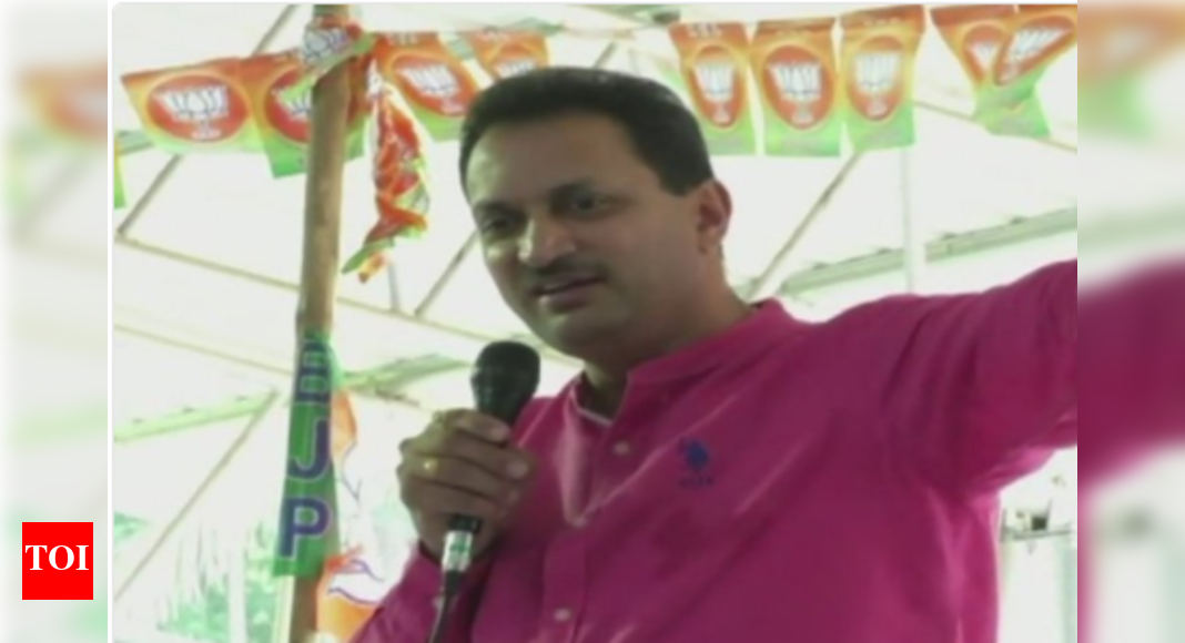 Now, Ananth Kumar Hegde calls opposition 'crows, monkeys, foxes ...