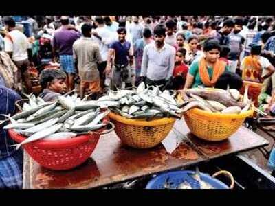 Maharashtra's fish catch up again, rises 30% in 2017 | Mumbai News ...
