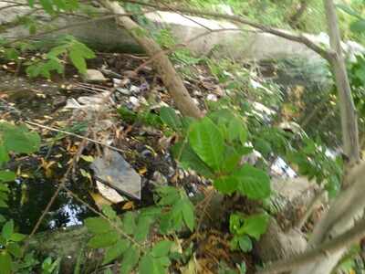 Main Rain water canal to Perungudi lake choked - Times of India
