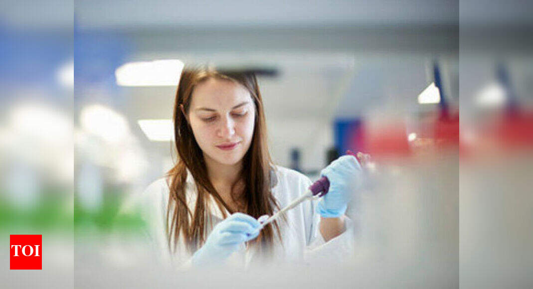 Novel catalyst can help harvest fuel from water - The Times of India