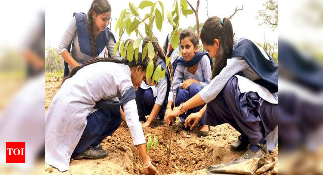 Van Mahotsav: Van Mahotsav kicks off with planting saplings ...