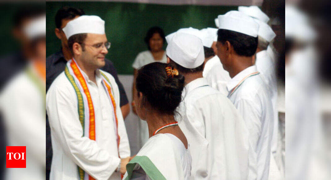 Congress Sewa Dal undergoes overhaul to take on RSS for 2019 Lok Sabha ...