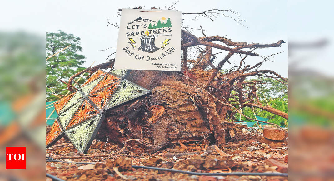 Delhi Trees: Tree census by locals to keep log of species | Delhi News ...