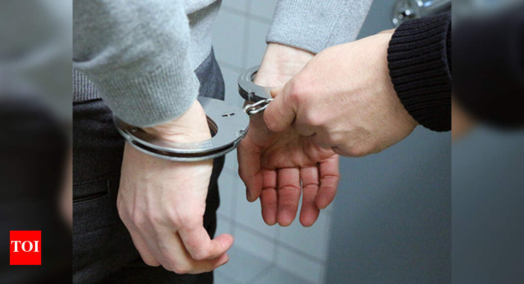 Infographic: How Interpol colours crime - Times of India