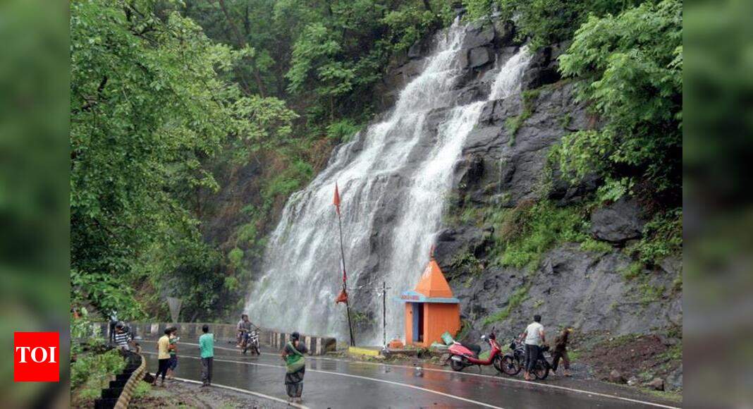 Dang, Tapi districts receive heavy rain | Surat News - Times of India