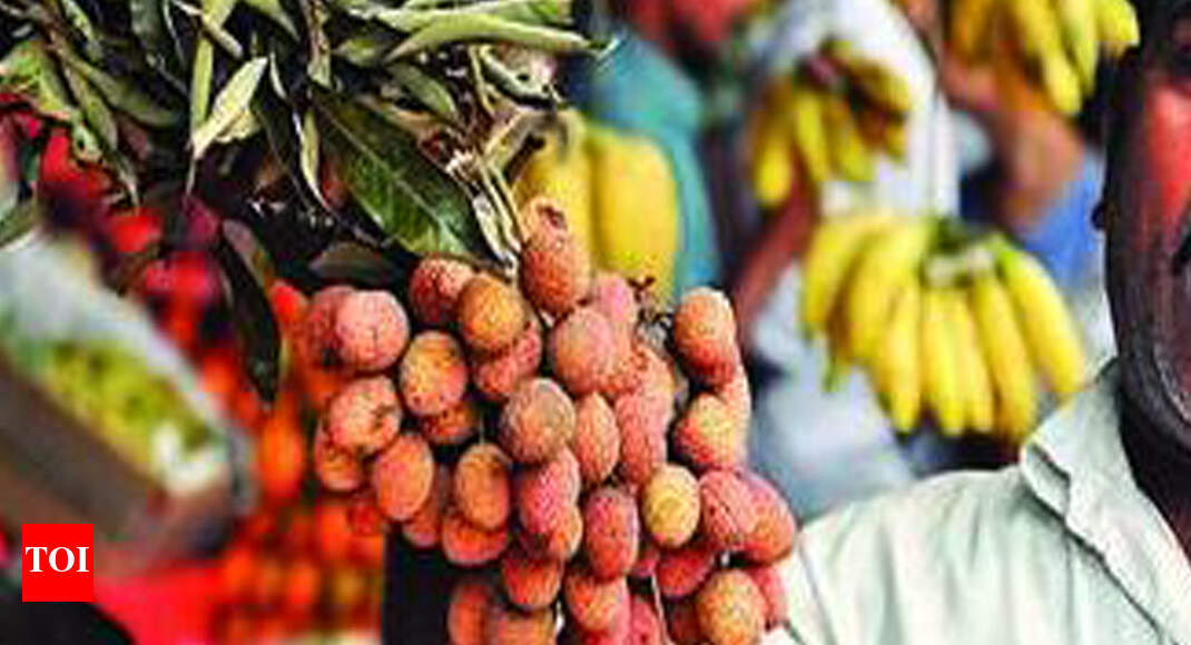 Bihar's famous Shahi litchi to get GI tag soon | Patna News - Times of ...